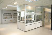 China Aerodynamic Lab Fume Hood Modern Tabletop Chemical Ventilation Hood for sale
