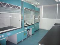 China Aerodynamic Lab Fume Hood Modern Tabletop Chemical Ventilation Hood for sale