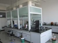 China Aerodynamic Lab Fume Hood Modern Tabletop Chemical Ventilation Hood for sale