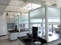 China Aerodynamic Lab Fume Hood Modern Tabletop Chemical Ventilation Hood for sale