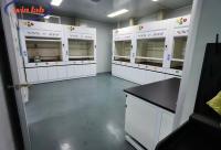 China Heavy Duty Lab Fume Hood All Steel Chemical Ventilation Hood Corrosion Resistant for sale