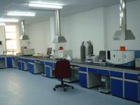 China Stainless Steel Laboratory Accessories Commercial Atomic Hood Fume Extractor Arm Ventilation Canopy for sale