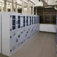 China Anti Corrosive PP Storage Cabinet Double Acid Base Storage Cabinet for sale