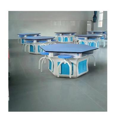 China Versatile Science Lab Desk Heavy Duty Educational Lab Furniture Modular For School for sale