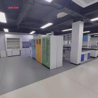 China Ergonomic Laboratory Benches Heavy Duty Modular Laboratory Furniture With Epoxy Coated Steel for sale