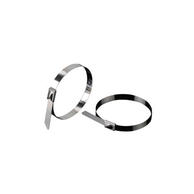 China RYAN 304 Stainless Steel Cable Ties: For Industrial/Construction/Marine/Automotive Use, 1000-3115N Tensile Strength for sale