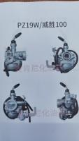 China PZ19W Carburetor for Winsheng 100 100cc Motorcycle Engine - Direct Replacement Fuel System Carburetor for sale