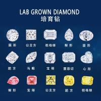 China Red Radiant Cut Diamond Loose Moissanite Jewelry Vivid Pink Lab Grown Diamonds Moissanite for sale