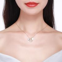 China 19in 25g Sterling Silver Jewelry Necklaces for sale