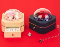 China OEM Recycled 0.406kg Jewelry Gift Box Plastic 115×115×110mm for sale