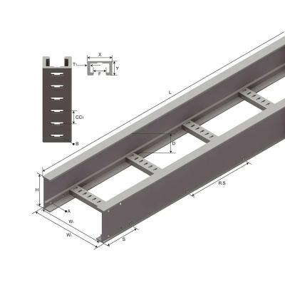 China Customized Galvanized Cable Ladder Tray with Strong Weather Resistance and Wall Mounted Installation for sale