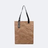 China Customized Color TUBO Washable Dupont Kraft Paper Bag with Zipper and Cotton Handles for sale