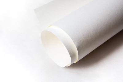China Eco Friendly Polyester Offset Printing Paper 0.1-0.3mm Thickness For Handbags for sale