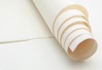 China Polyester Offset Printing Paper Tear Resistant With Good Stiffness for sale