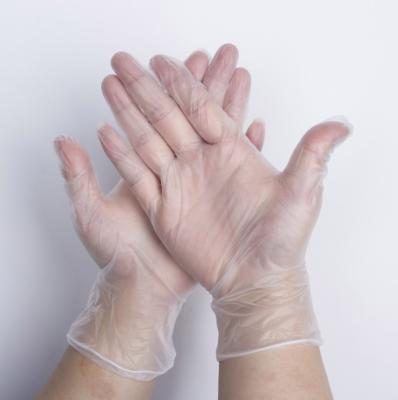 China EN455 12 Inch Pvc Medical Vinyl Examination Gloves Powder Free for sale
