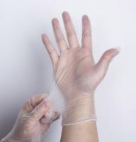China EN455 12 Inch Pvc Medical Vinyl Examination Gloves Powder Free for sale