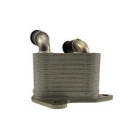 China Geely Emgrand Automotive Engine Oil Cooler Thermostat for 3050022100 2021- Car Fitment for sale