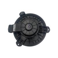 China Voltage 12V 12V DC Blower Fan for BYD Han EV Car AC Blower Motor and Year 2020- for sale