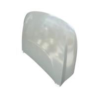 China Hood for GEELY GEOMETRY Car Fitment Top-Selling Auto Body System Accessories for sale