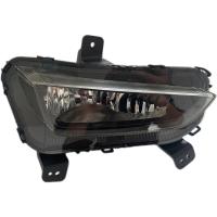 China Enhance Your Gilly Bin Yue's Look with 72W Halogen Front Fog Lamp Assembly 7054015500 for sale