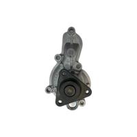 China 1066025900 OEM Geely Binrui Automotive Engine System Accessories Cooling System Water Pump for sale