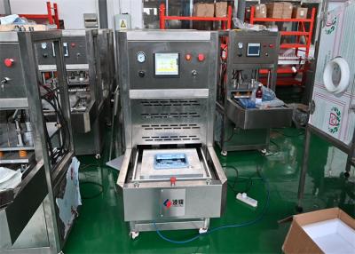 China LY-120A Sterile Medical Heat Sealer Machine for PET PVC Tyvek Packaging 500mm x 400mm Tooling 5KW for sale