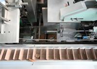 China LYWZH-200 Auto Cartoning Machine for Pharmaceutical Packaging - 80-160 boxes/min, 3400mm x 1620mm x 2000mm for sale