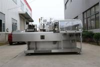 China Horizontal Carton Packing Machine LYWZH-120 80-100 Boxes Per Minute Remote Jog Control for sale