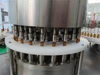 China 30-500ml Pharmaceutical Liquid Filling Machine with Peristaltic Pump and Servo Drive for Dietary Supplements for sale