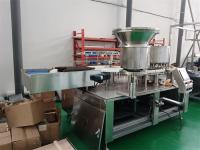 China High-Speed Automated Vial Filling and Capping Line 300-500 BPM 2ml-100ml Zero-Contamination Precision Packaging for sale