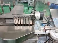 China Integrated Aseptic Ampoule Processing Line 5000-40000 BPH Dual Nitrogen Flushing 1-20ml for sale