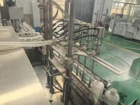 China Pharmaceutical Liquid Filling Machine 30-500ml Volume with GMP Compliance and 99% Capping Success Rate for sale
