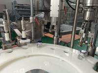 China Automatic Liquid Filling Machine with Nitrogen Purging 30-500ml Servo Dosing ±0.5% Accuracy for sale