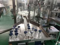 China Automatic Liquid Filling Machine 100-500ml for Plastic Glass Bottles 6-10 Heads GMP for sale