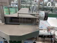 China High-Speed Ampoule Filling Line 34000 BPH for Steriles and Vaccines with Peristaltic Pumps for sale