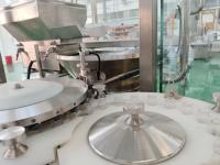 China Automatic Vial Filling Line 2-30ml 6000-26000 BPH Nitrogen Aseptic Process for Recombinant Proteins for sale