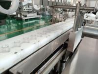 China Automatic Vial Filling Line 2-30ml 6000-26000 BPH Nitrogen Aseptic Process for Recombinant Proteins for sale