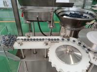 China Fully Automatic Vial Liquid Filling Line 30-500ml 380V 50Hz for Glass and Plastic Bottles for sale