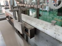 China Integrated Aseptic Vial Processing Line (2-30ml)
High-Speed, Zero-Contamination Automation for High-Value Life Sciences Formulations for sale