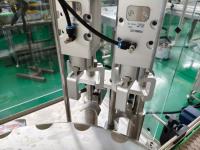 China Automatic Vial Liquid Filling Machine 50-500ml PET Bottles Piston Peristaltic Pump 6-12 Heads for sale