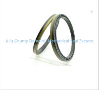 China NBR Material mechanical seal shaft seal caterpillar 1792801 140-170-14.5/16 for sale