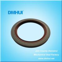 China Gearbox Oil Seal 75*100*10 for ZF TB type and  material for sale
