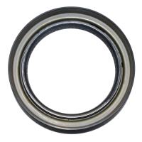China Navistar drive axle wheels oil seal 393-0173 for sale