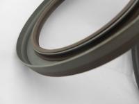China TBG shaft oil seals with 90*120*13/9.5 MM size FKM FPM material 0734319445 oem no. for sale