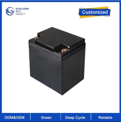 China 12V 18Ah 25Ah 30Ah LiFePO4 Lithium Battery for Solar Storage System 384Wh 165*175*125*125mm for sale