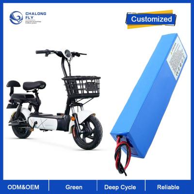 China LiFePO4 Lithium Battery OEM 24V 36V 48V 60V 30AH Li-Ion Battery 40AH 60AH For E-Wheelchair/E-Motorcycle/E-Bike/E-scooter for sale