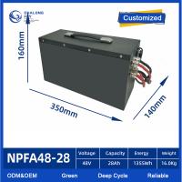 China OEM ODM AGV EV Lithium Battery Pack  24V 48V 60V 72V 80V Lifepo4 With Smart BMS for sale