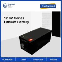 China 12v Lithium Iron Phosphate Battery Packs 100ah 150ah 200ah 250ah with BMS for RV Electric Scooter Motorcycle Boat for sale