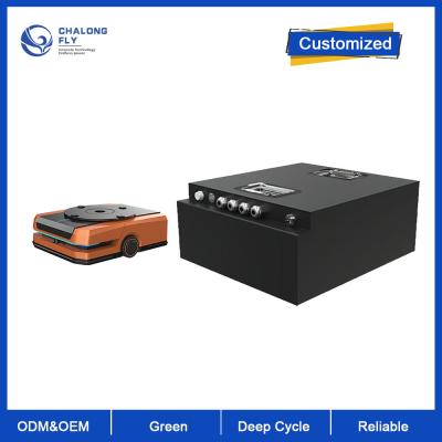 China Custom Removable LiFePO4 Lithium Battery Pack for E-scooter with High Discharge Rate for sale