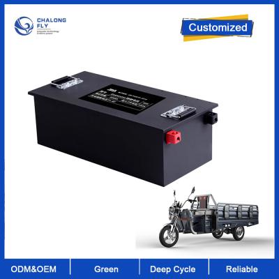 China 48v 60v 72v 100ah 200ah 300ah Customized Electric Moped Tricycle Lithium Battery 48V 60Ah Lifepo4 Electric Rickshaw Car Battery for sale